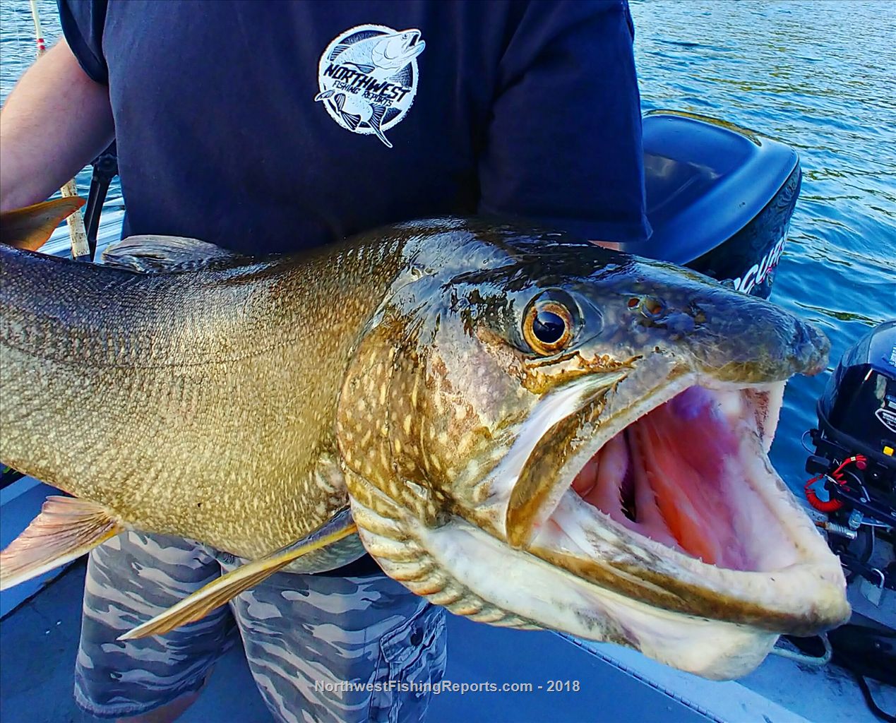 bead-lake-report-pend-oreille-county-wa-nwfr