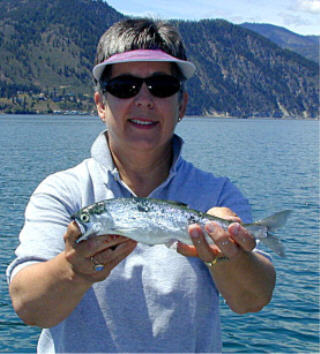 Annual Lake Chelan Silver Run Attracts Anglers - NWFR