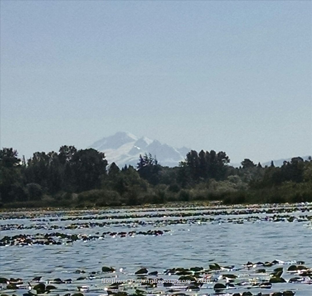 Terrell Lake Report, Whatcom County, WA - NWFR