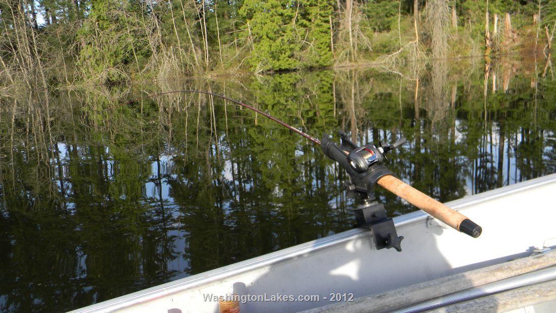 Offut Lake Report, Thurston County, WA - NWFR