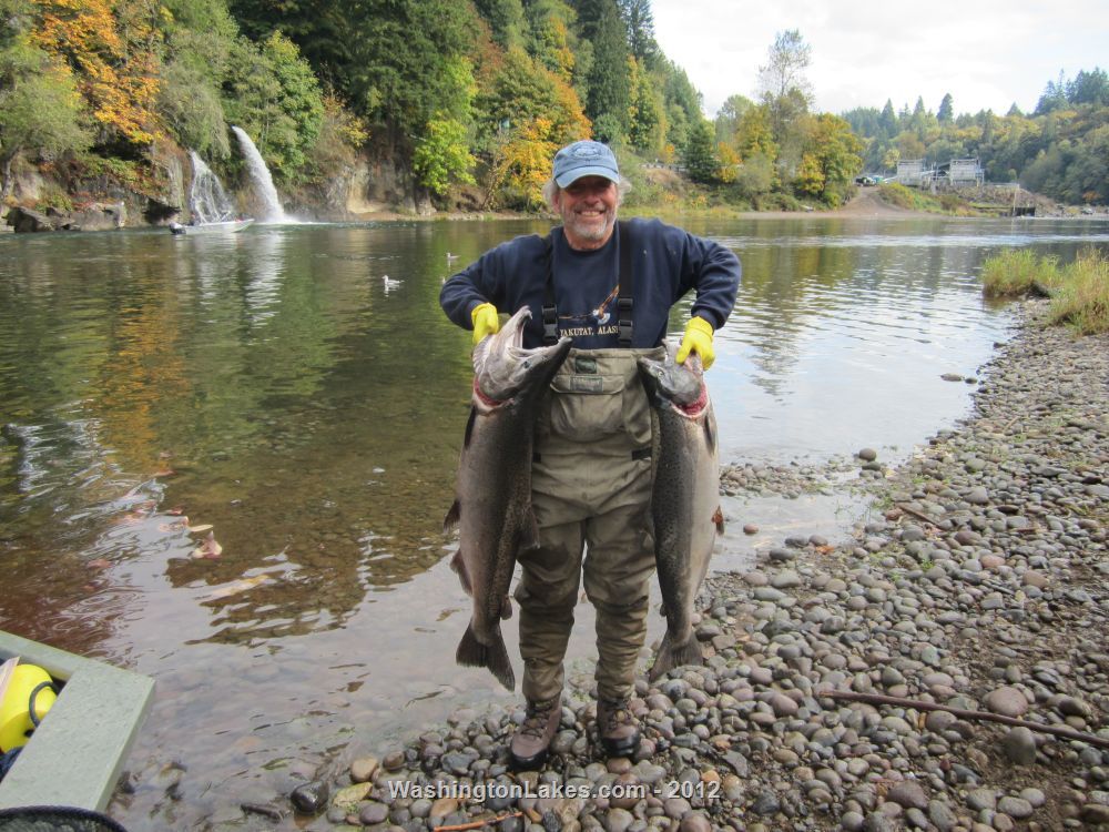 Lewis River Report, Cowlitz County, WA - NWFR