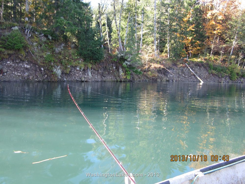 Scanewa Lake Report, Lewis County, WA - NWFR