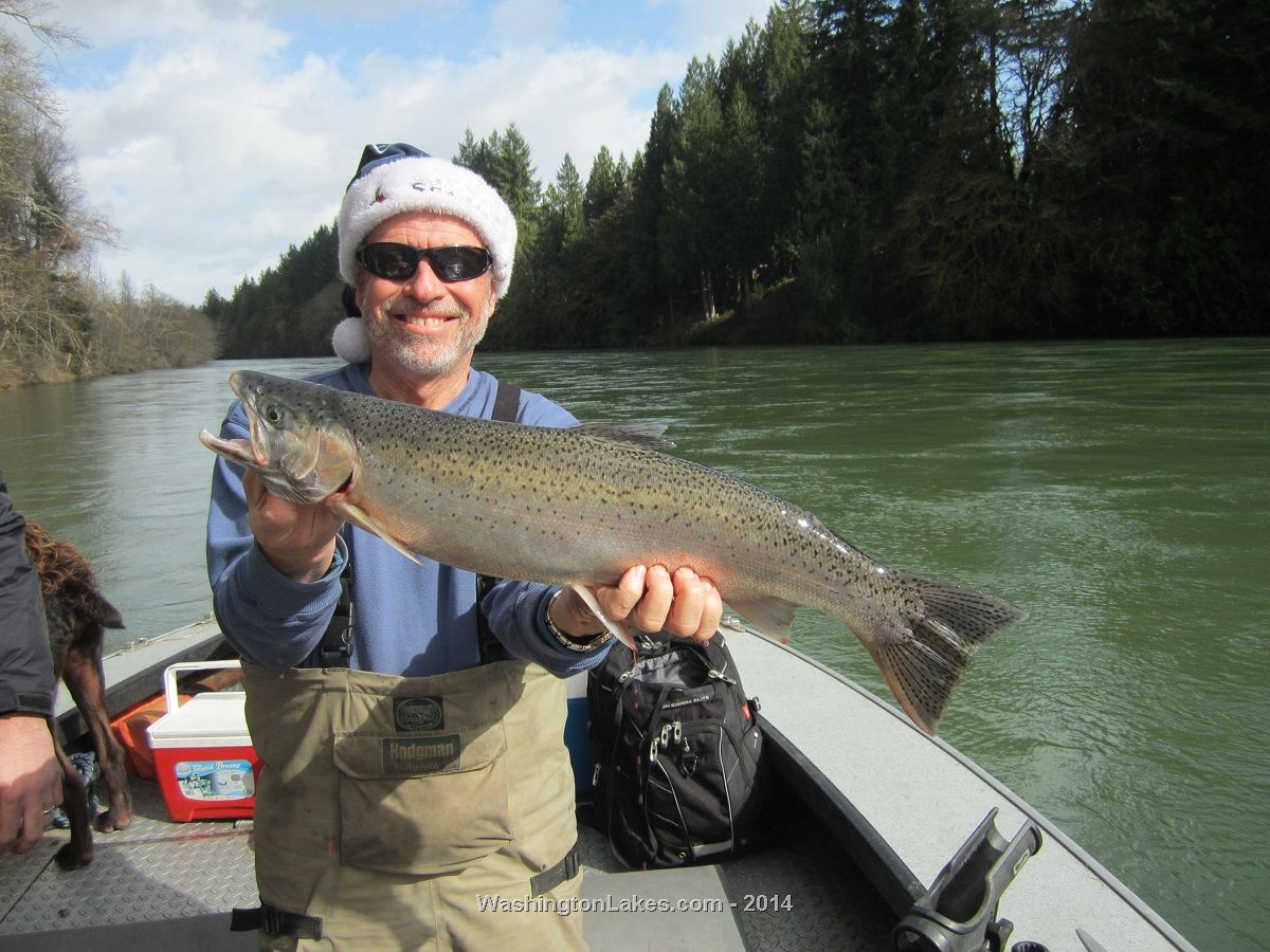 Cowlitz River Report, Cowlitz County, WA - NWFR