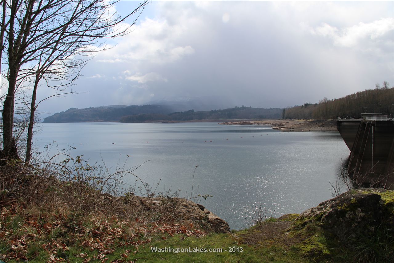 Riffe Lake Report, Lewis County, WA - NWFR