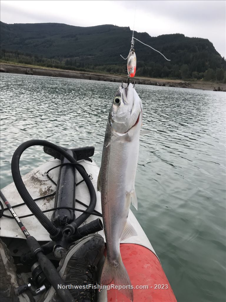 Riffe Lake Report, Lewis County, WA - NWFR