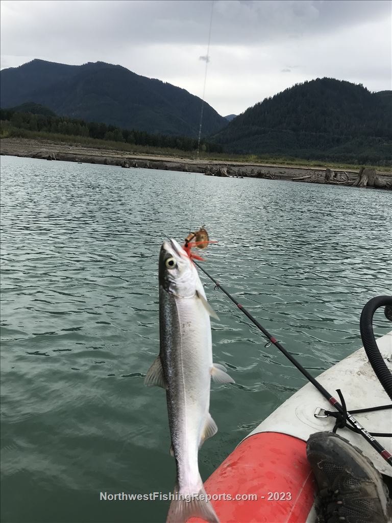 Riffe Lake Report, Lewis County, WA - NWFR