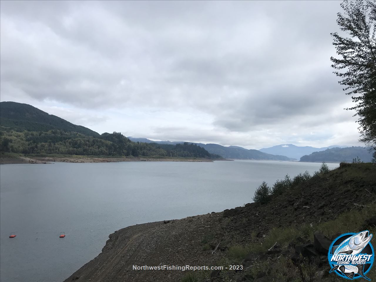 Riffe Lake Report, Lewis County, WA - NWFR
