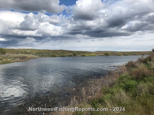 Potholes Lake Report, Grant County, WA - NWFR