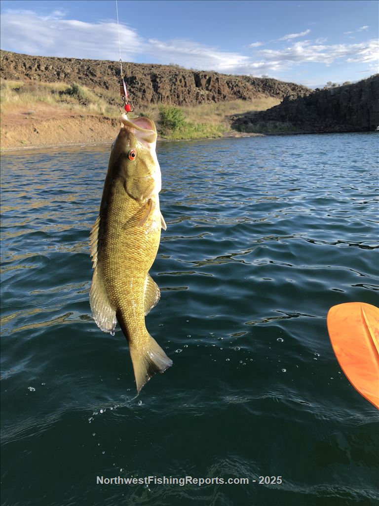Billy Clapp Lake Report, Grant County, WA - NWFR