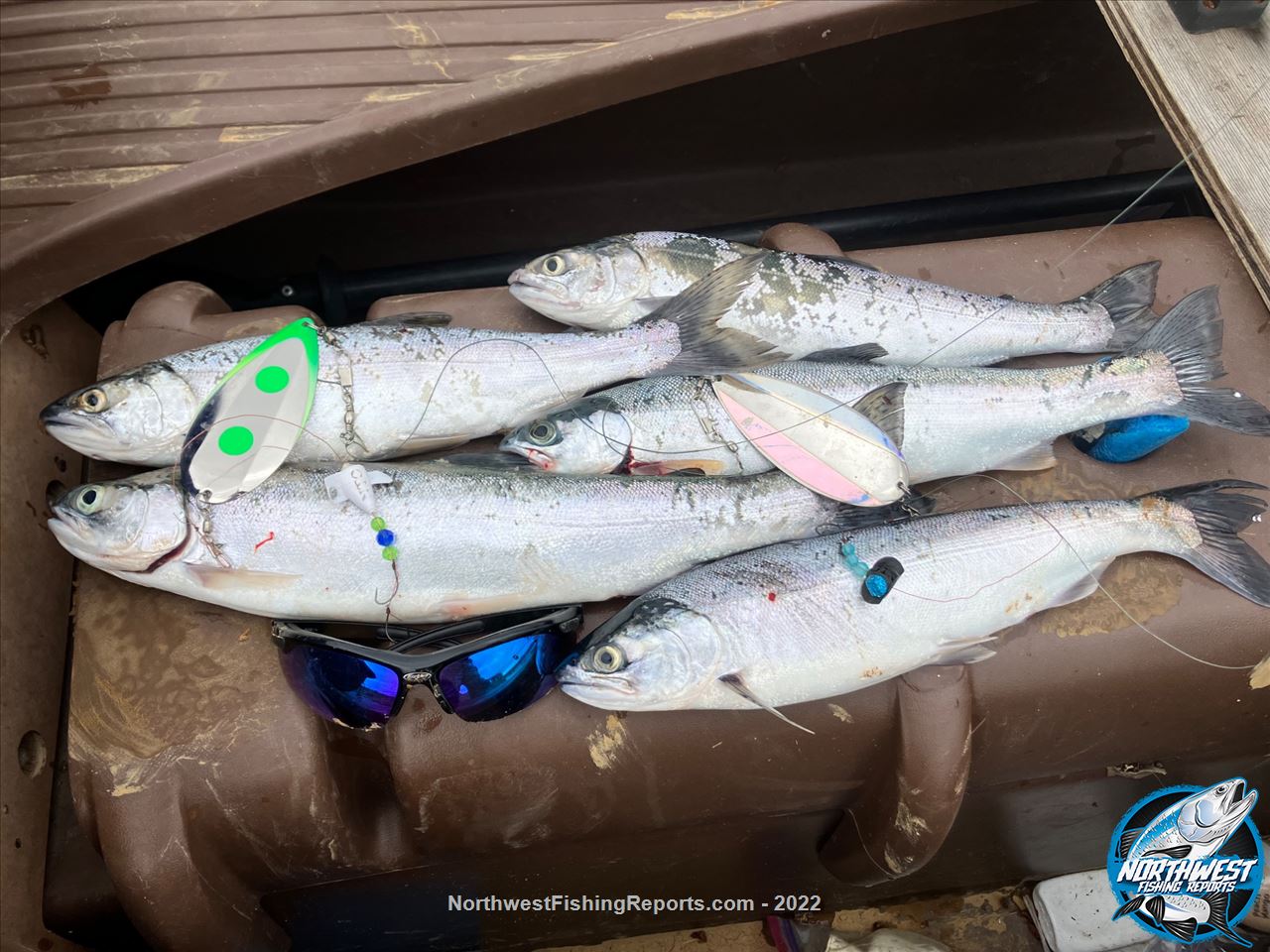 Riffe Lake Report, Lewis County, WA - NWFR