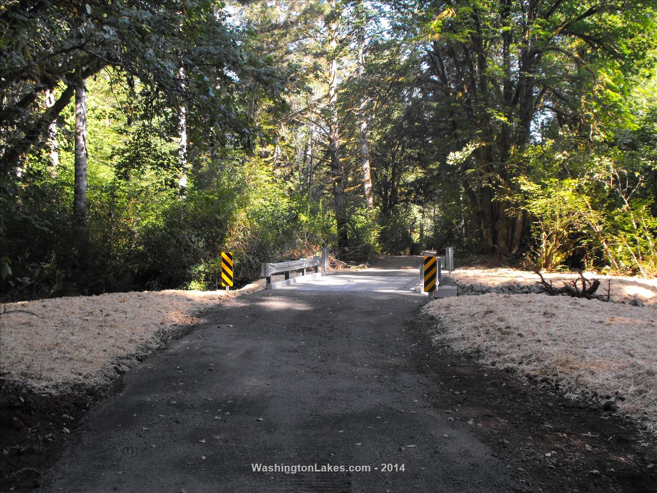 East Fork Satsop River Report, Grays Harbor County, WA - NWFR