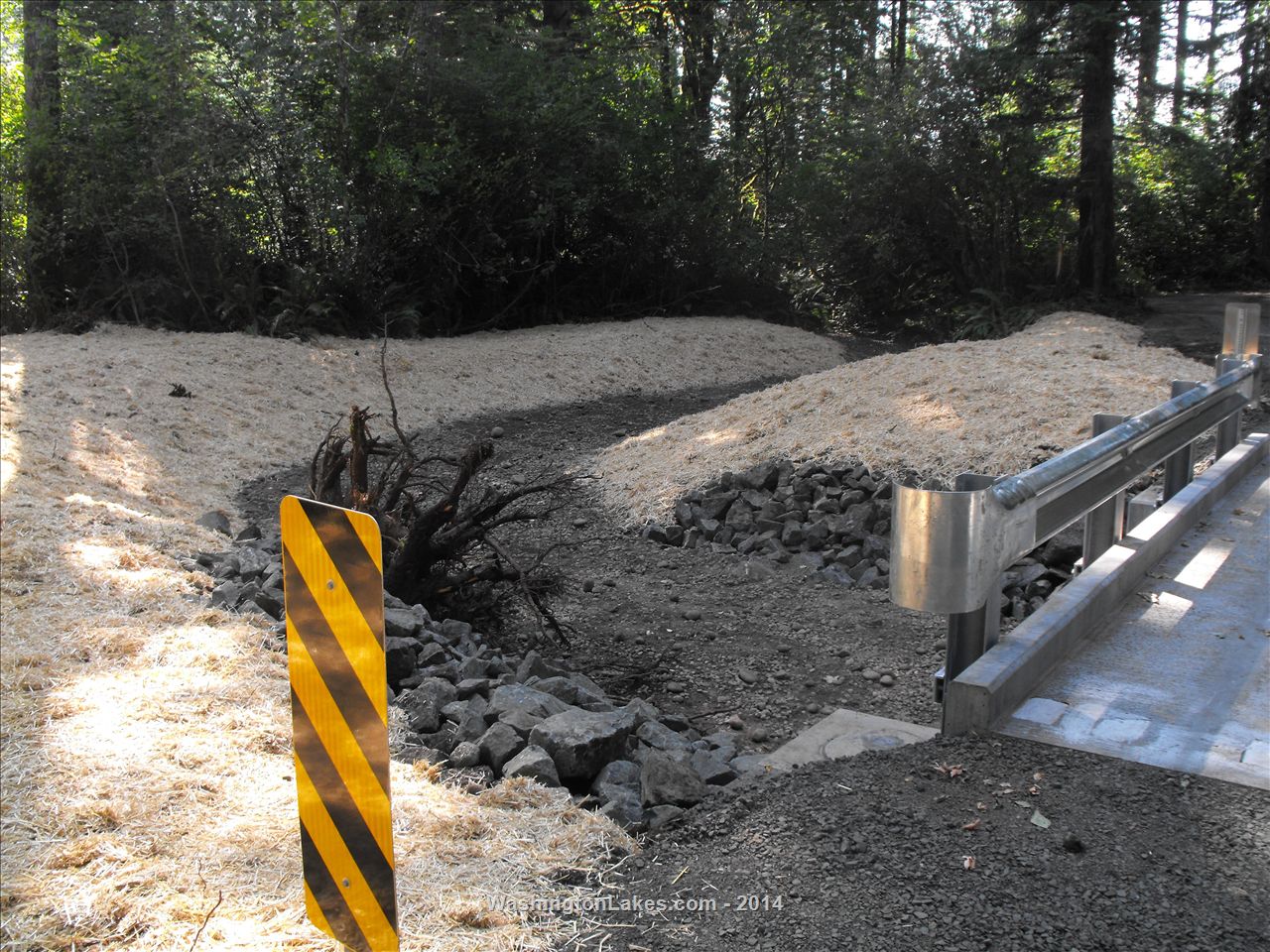 East Fork Satsop River Report, Grays Harbor County, WA - NWFR