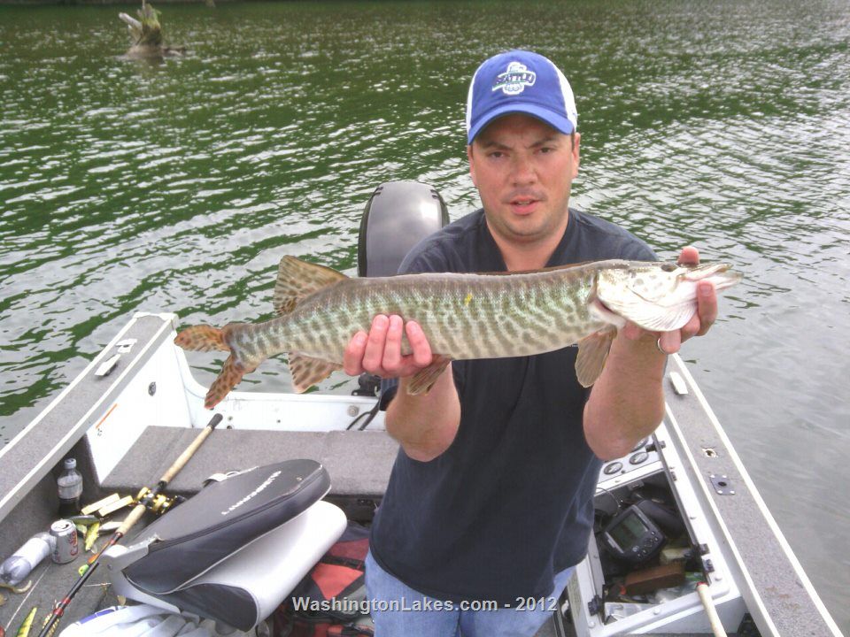Mayfield Lake Report, Lewis County, WA - NWFR