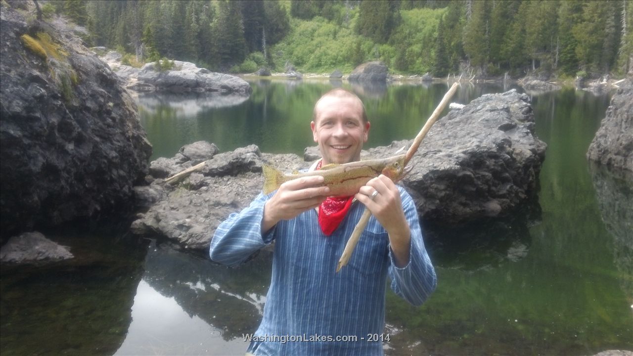 Mildred Lake Report, Mason County, WA - NWFR