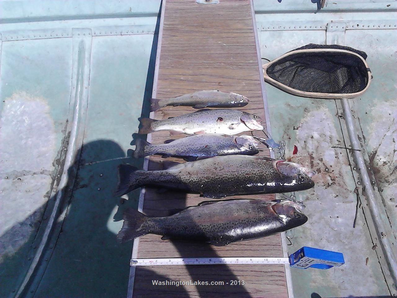 Toad Lake Report, Whatcom County, WA - NWFR