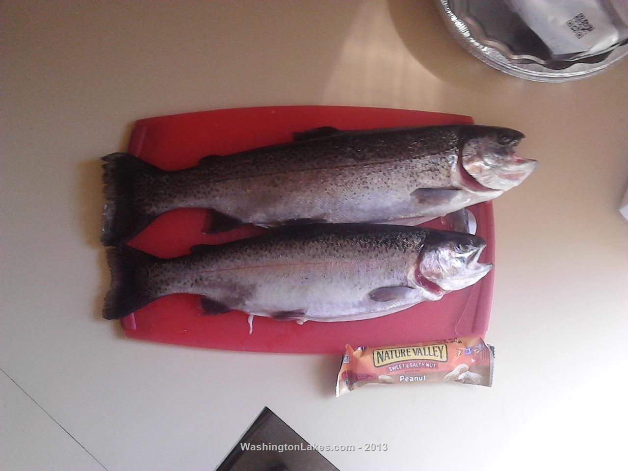 Toad Lake Report, Whatcom County, WA - NWFR