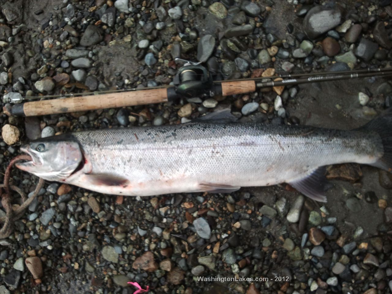 Tokul Creek Photo Gallery - NWFR
