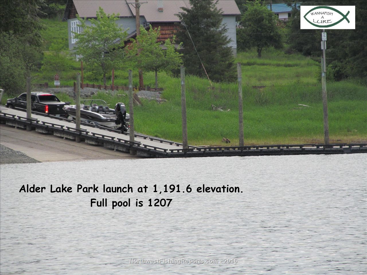 Alder Lake Report, Pierce County, WA - NWFR