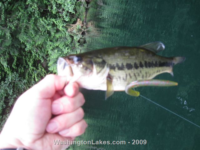 Langlois Lake Report, King County, WA - NWFR