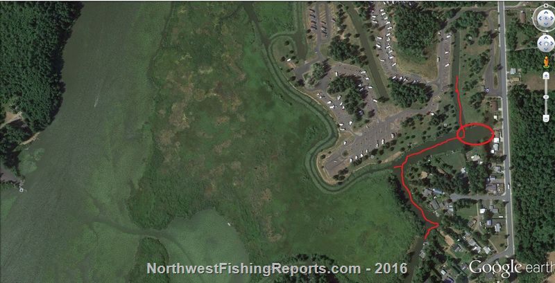 Silver Lake Report, Cowlitz County, WA - NWFR