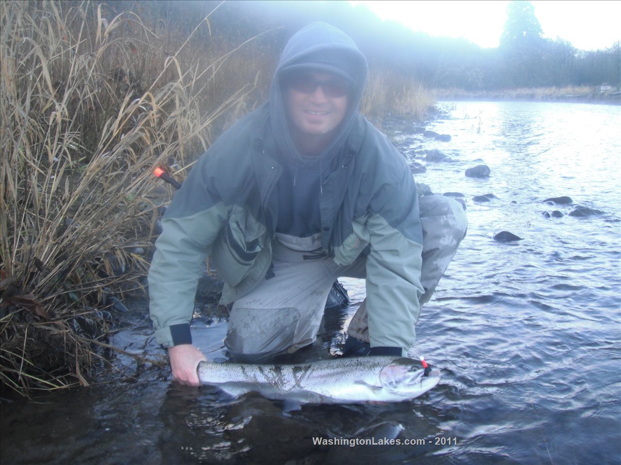 Elochoman River Report, Wahkiakum County, WA - NWFR