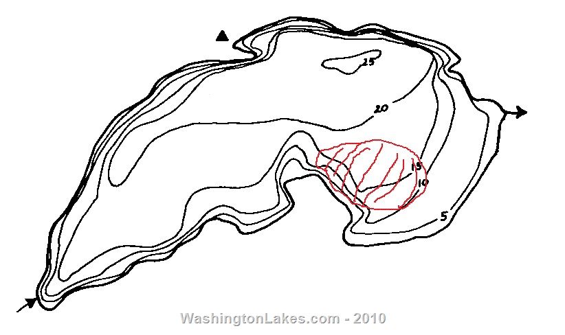 Offut Lake Report, Thurston County, WA - NWFR