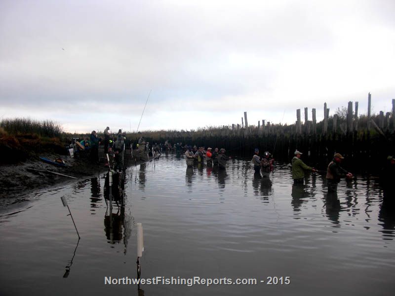 Samish River Report, Skagit County, WA - NWFR