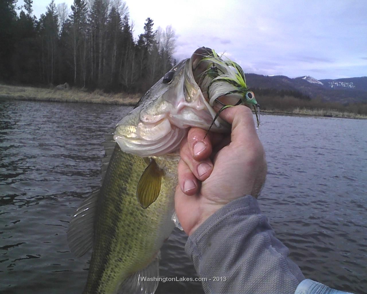 Newman Lake Report, Spokane County, WA - NWFR