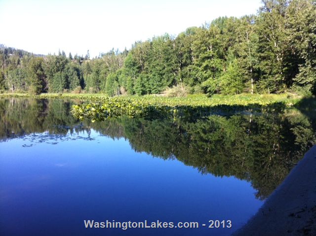 Newman Lake Report, Spokane County, WA - NWFR