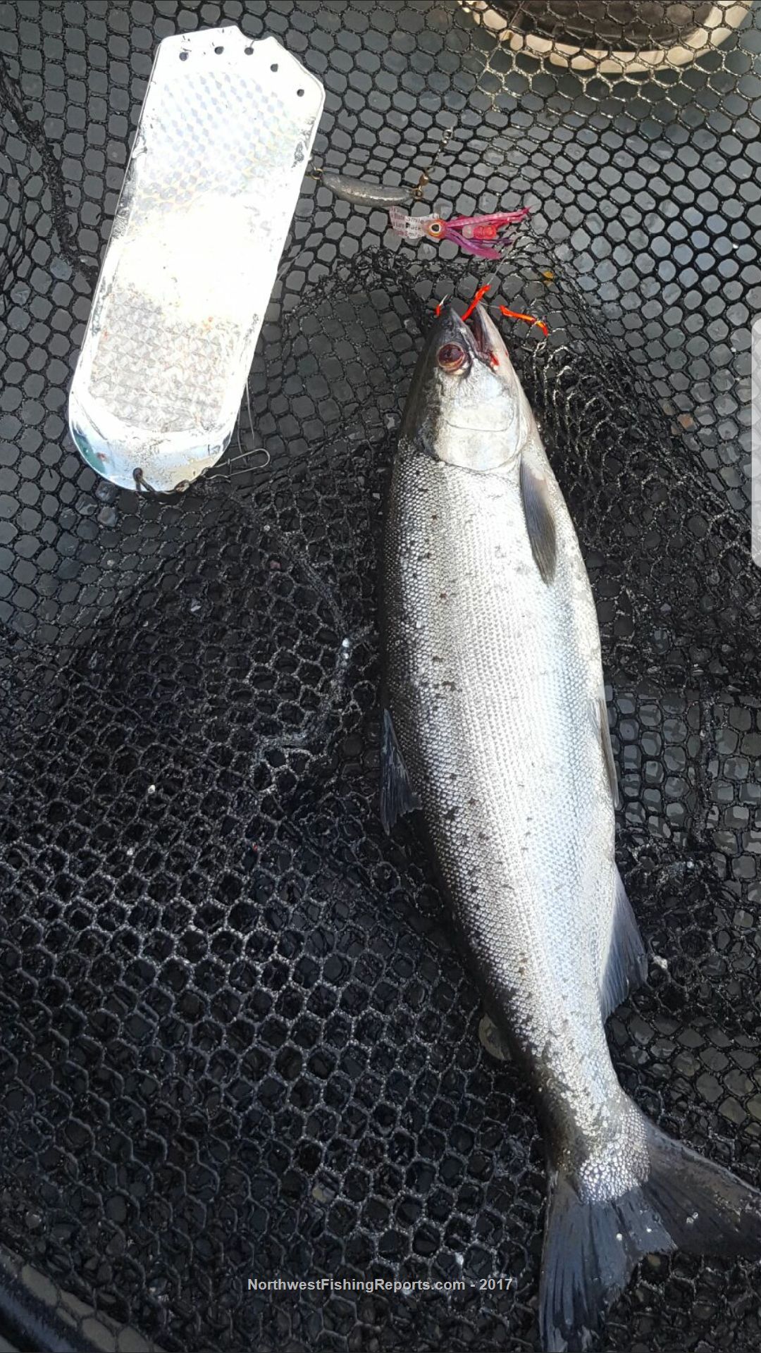 Conconully Lake Lake Report, Okanogan County, WA - NWFR