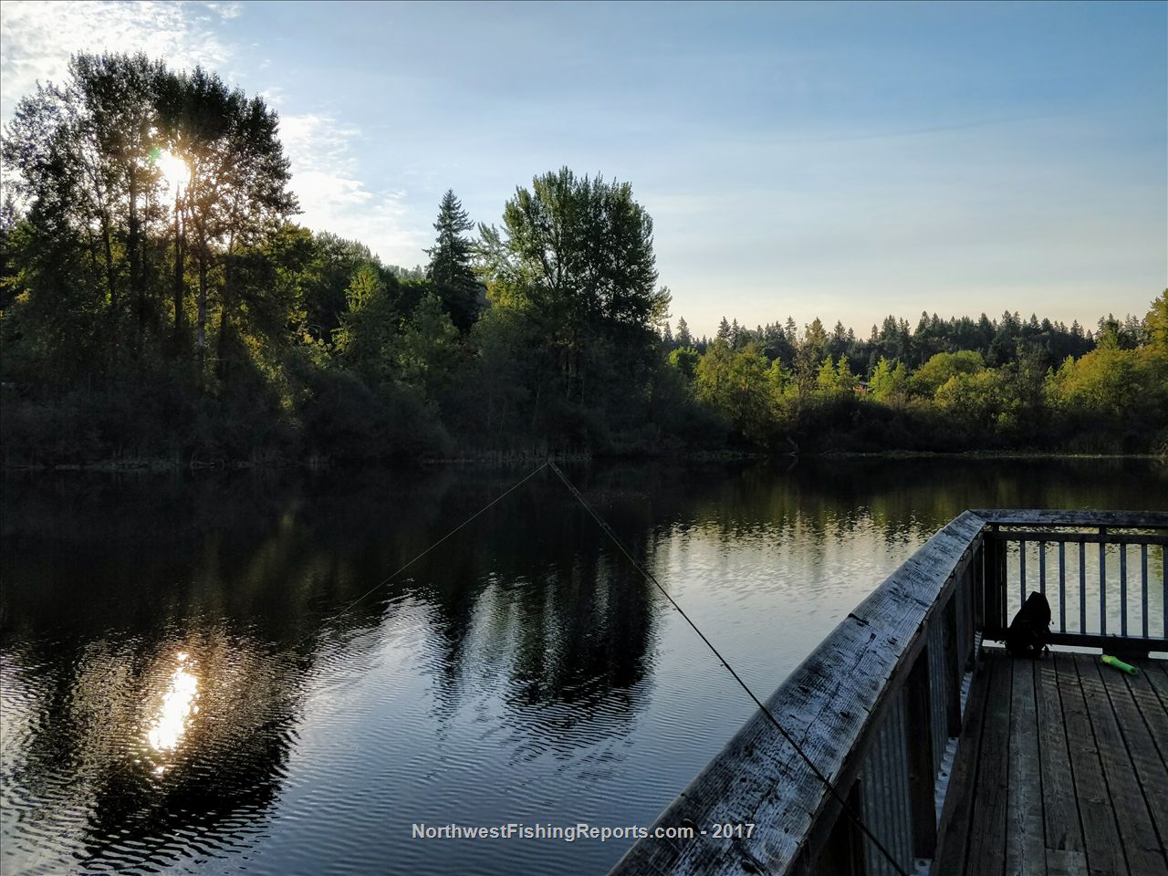Boren Lake Report, King County, WA - NWFR