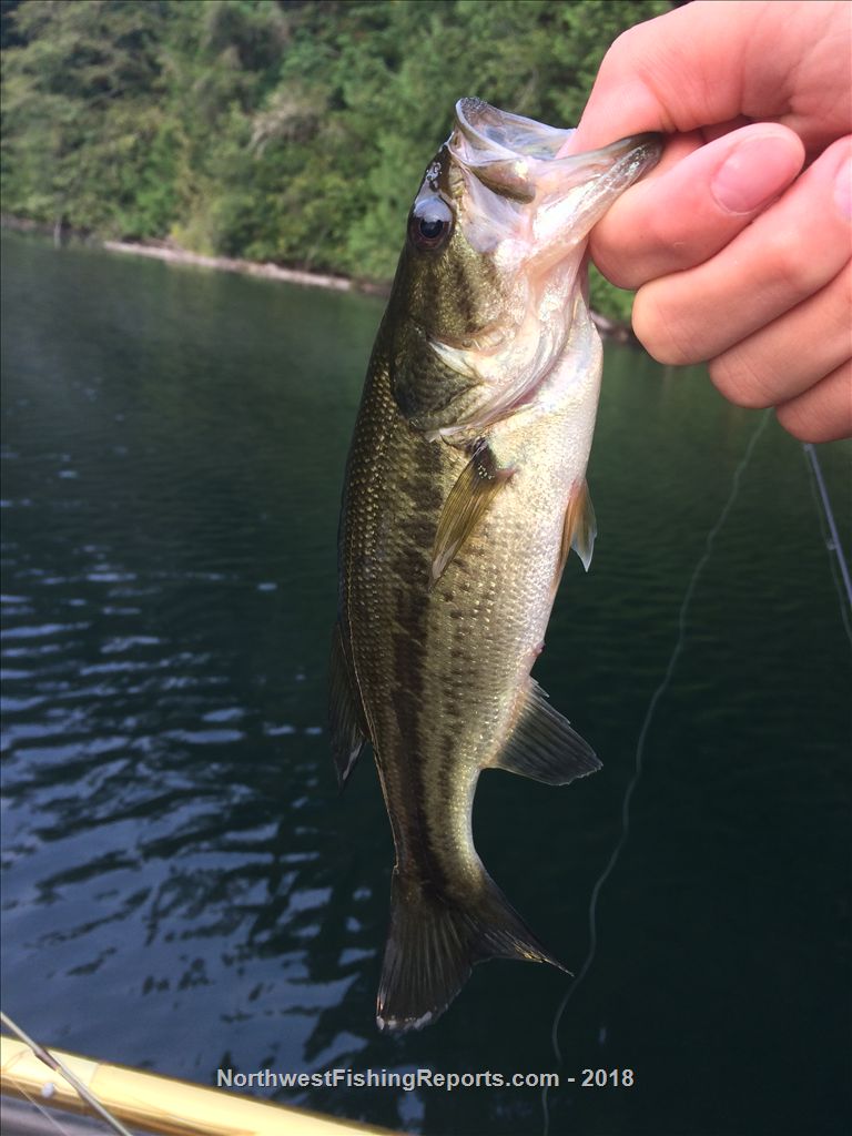 Langlois Lake Report, King County, WA - NWFR