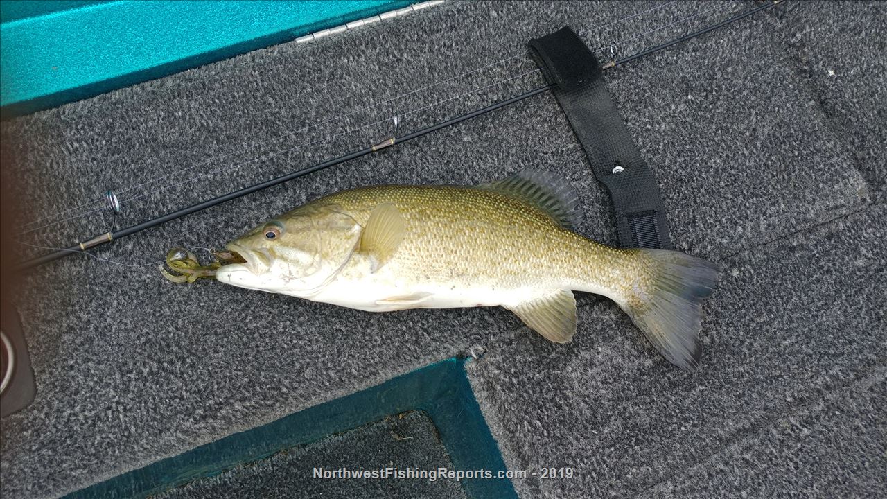 Moses Lake Report, Grant County, WA - NWFR