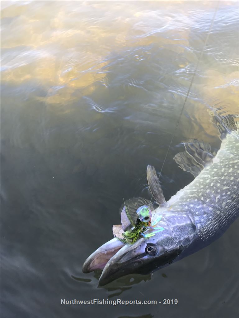Spokane(Long) Lake Report, Spokane County, WA - NWFR