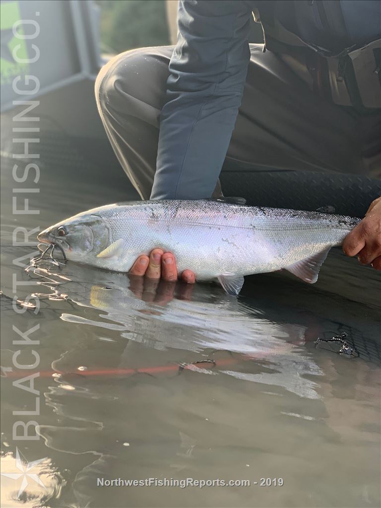 Humptulips River Report, Grays Harbor County, WA - NWFR