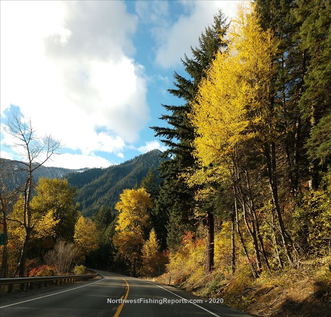 Lenore Lake Report, Grant County, WA - NWFR