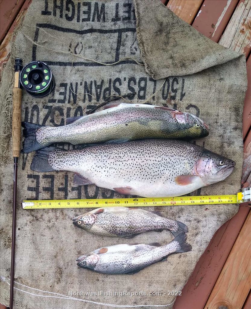 Failor Lake Report, Grays Harbor County, WA - NWFR