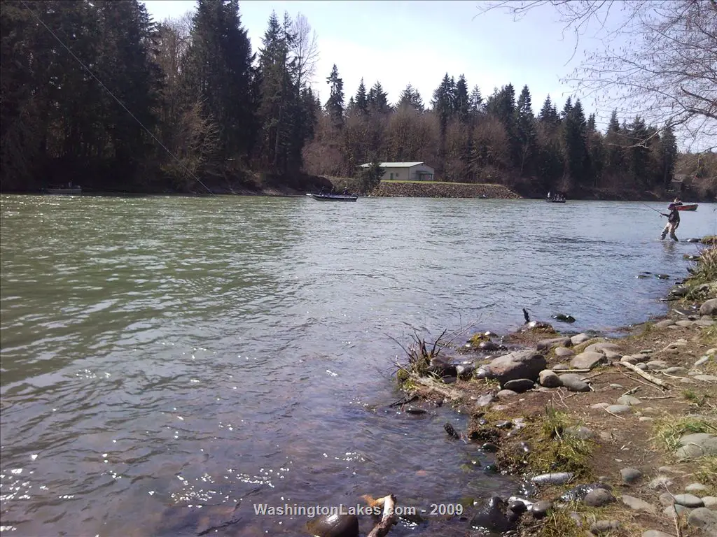 Cowlitz River Report, Cowlitz County, WA - NWFR