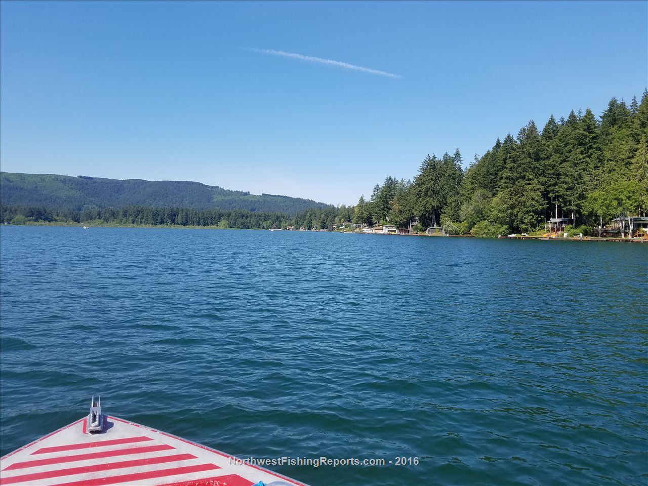 Summit Lake Report, Thurston County, WA - NWFR
