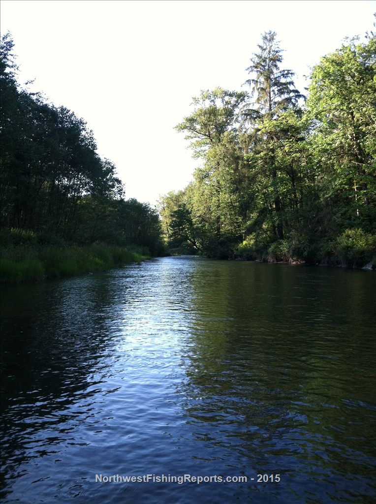 Sultan River Report, Snohomish County, WA - NWFR