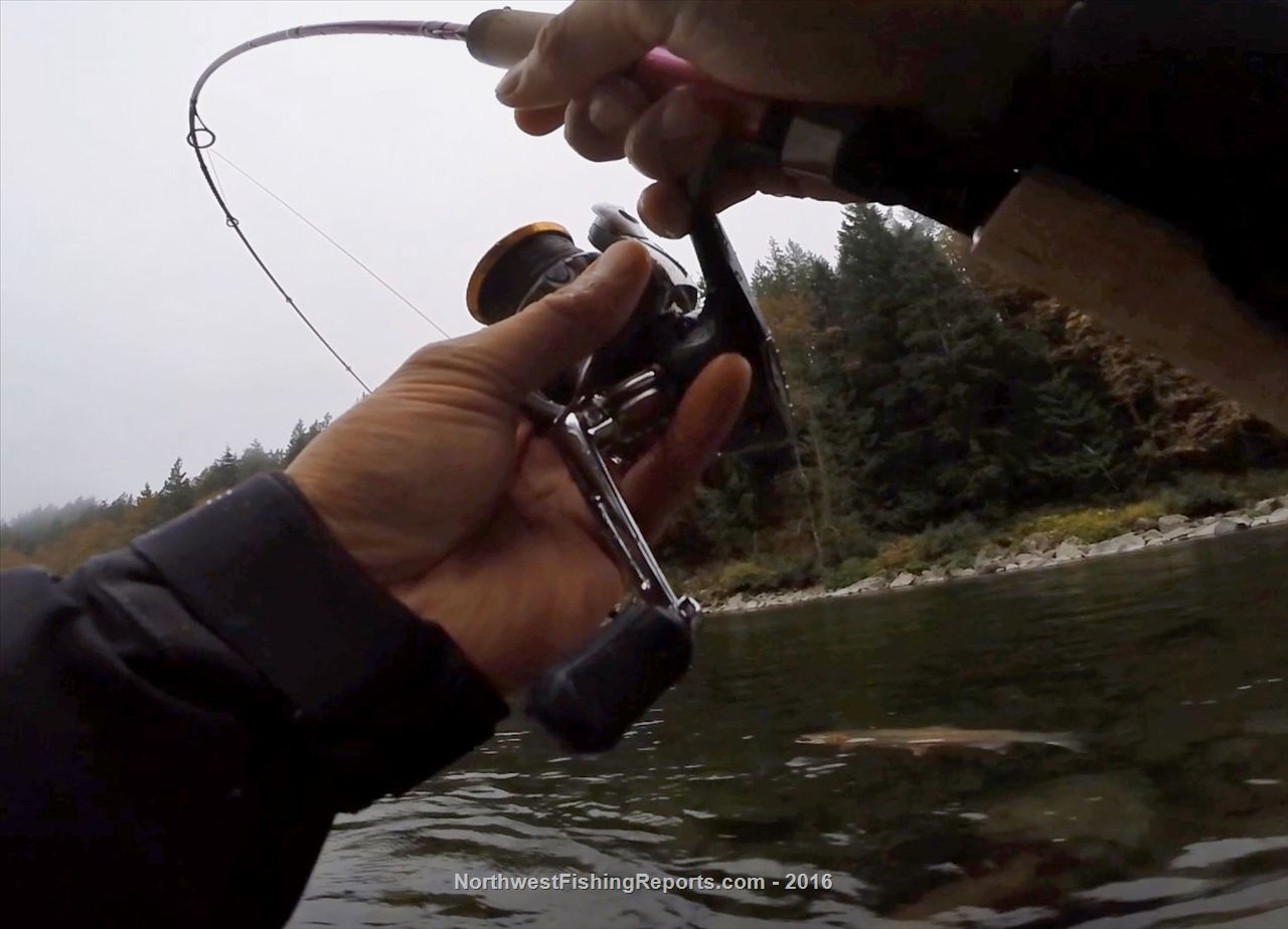 Skykomish River Report, Snohomish County, WA - NWFR