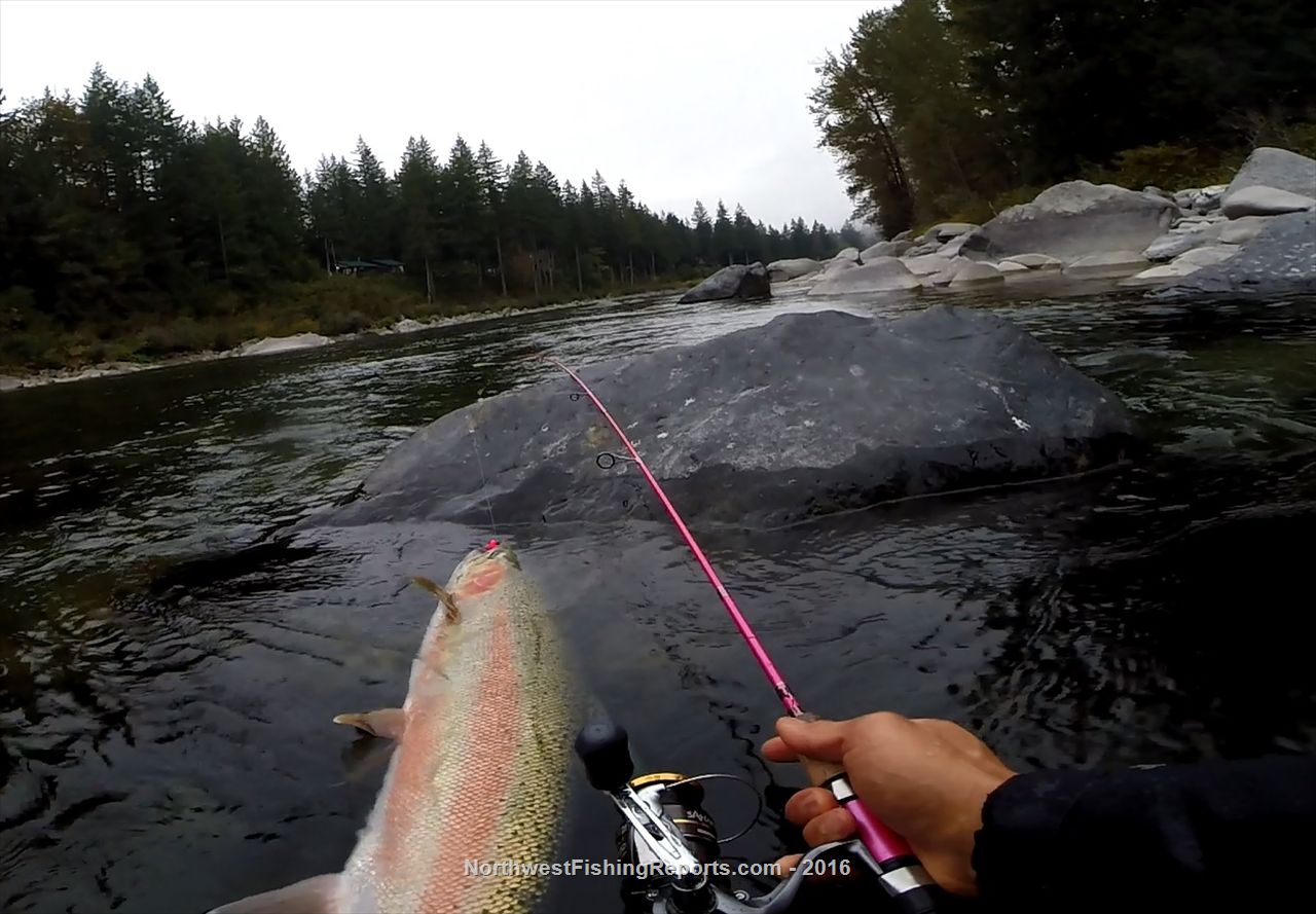 Skykomish River Report, Snohomish County, WA - NWFR