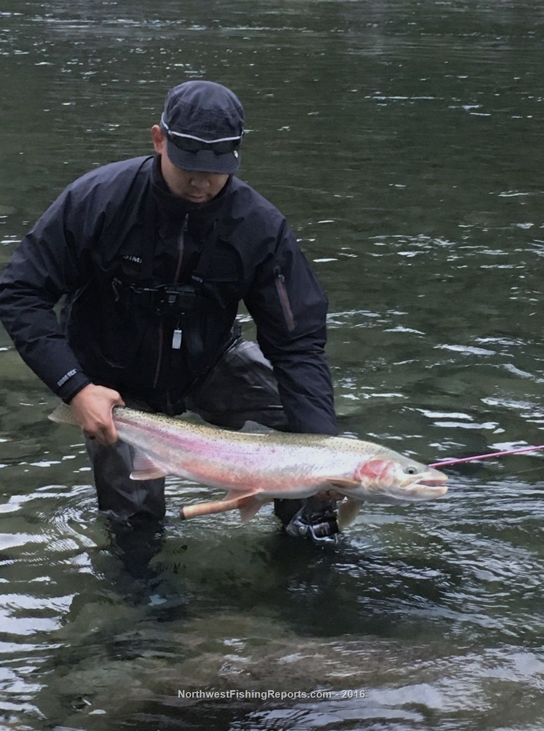 Skykomish River Report, Snohomish County, WA - NWFR