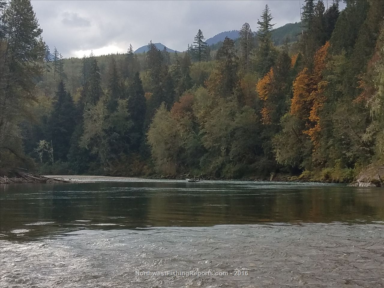 Skagit River Report, Skagit County, WA - NWFR
