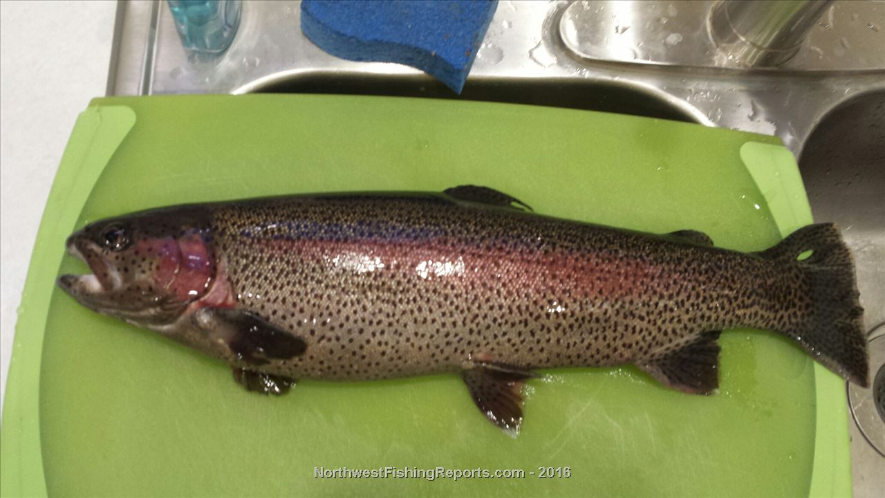 Grandy Lake Report, Skagit County, WA - NWFR