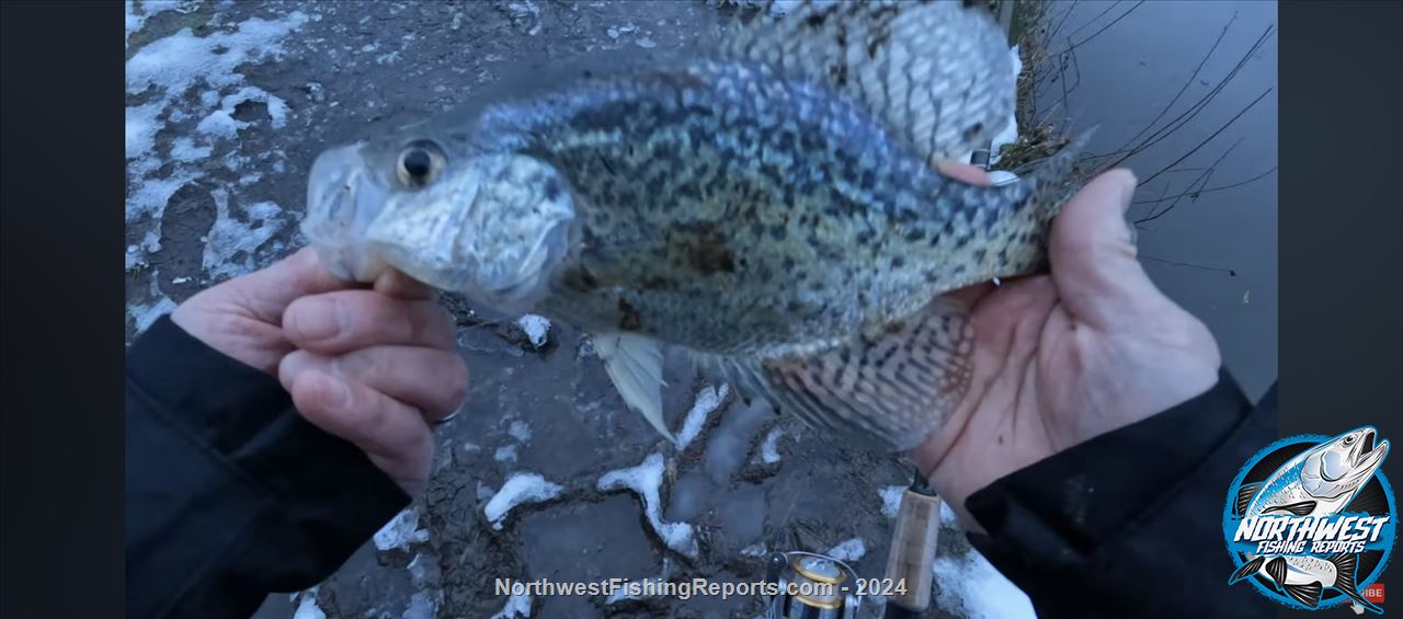 Silver Lake Report, Cowlitz County, WA - NWFR