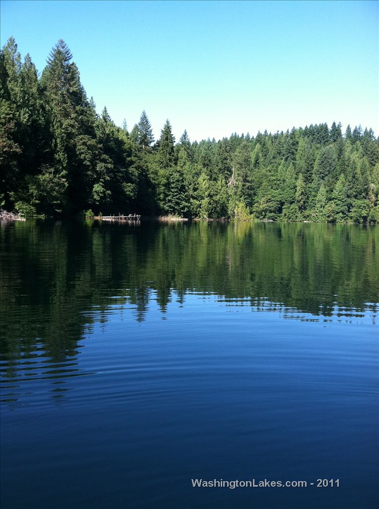 Langlois Lake Report, King County, WA - NWFR