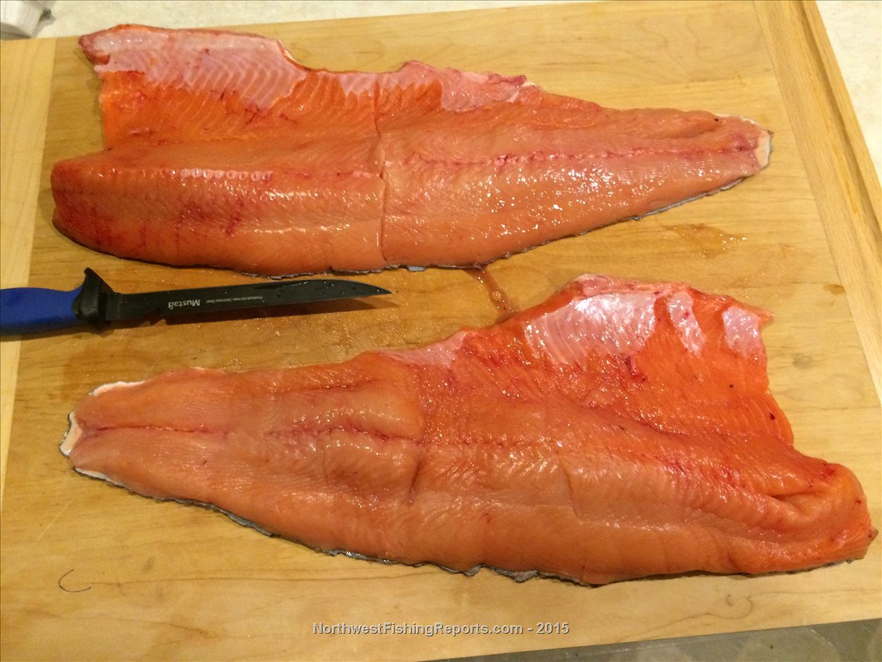 Humptulips River Report, Grays Harbor County, WA - NWFR