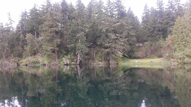 Clear Lake Report, Thurston County, WA - NWFR