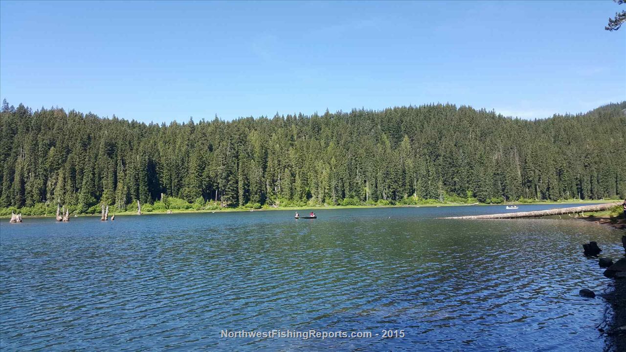 Goose Lake Report, Skamania County, WA - NWFR